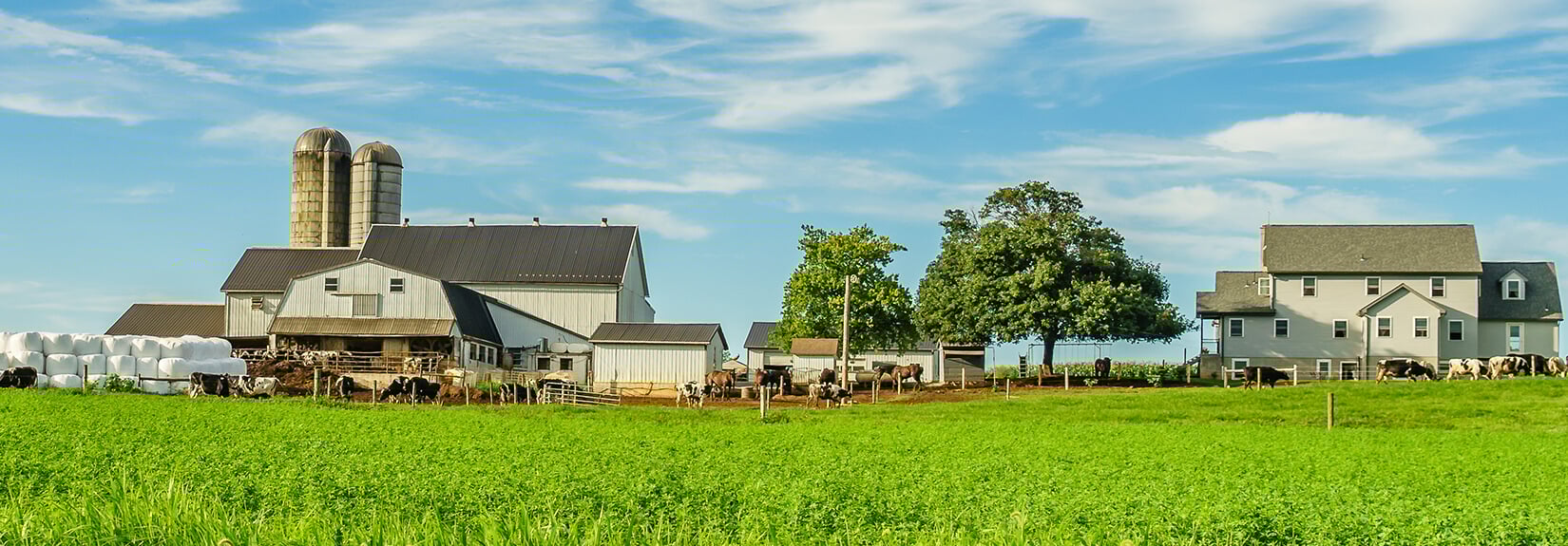 Your Full Service Agricultural Dealership | Central Utah | Mason ...